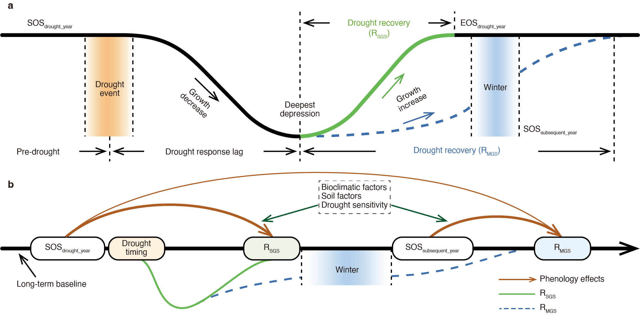Widespread spring phenology effects on drought recovery of Northern ...